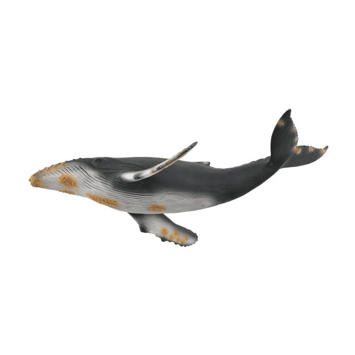 CollectA Μεγάπτερη Φάλαινα (PR-88347)